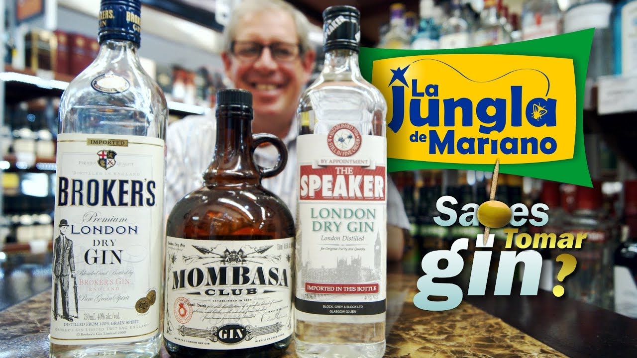 Descubre todo sobre la ginebra: el licor que no puede faltar en tu bar